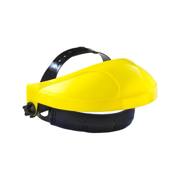 Faceshields – Wyler Enterprises, Inc